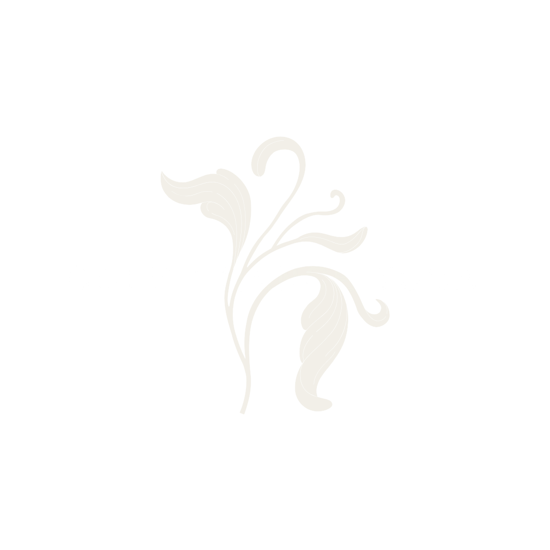 Homepage - Cole Chance Yoga