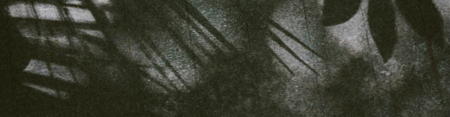 Studio - Cole Chance Yoga